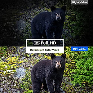 elemage 4G LTE Cellular Security Cameras Wireless Outdoor,2K Solar Outdoor Camera with 360°View,Color Night Vision,Motion Detection,Siren Spotlight Alert,2-Way Talk,IP65,SIM Included for No WiFi Place