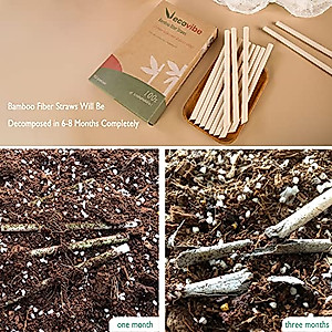 Ecovibe Straws Bamboo Straws Milkshake Straws Bamboo Straws Disposable Compostable Disposable Straw Straws For Hot Drinks Paper Boba Straws Bamboo Straw Drinking Bambo Straws Eco Straws（50 Pcs)