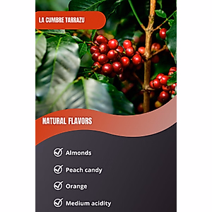 La Cumbre Specialty Coffee Whole Bean Medium Roast, Arabica Beans, Low Acid, Gourmet Whole Bean, Vegan, Kosher & Keto Friendly, Red Honey Process 12 oz, 2 Pack