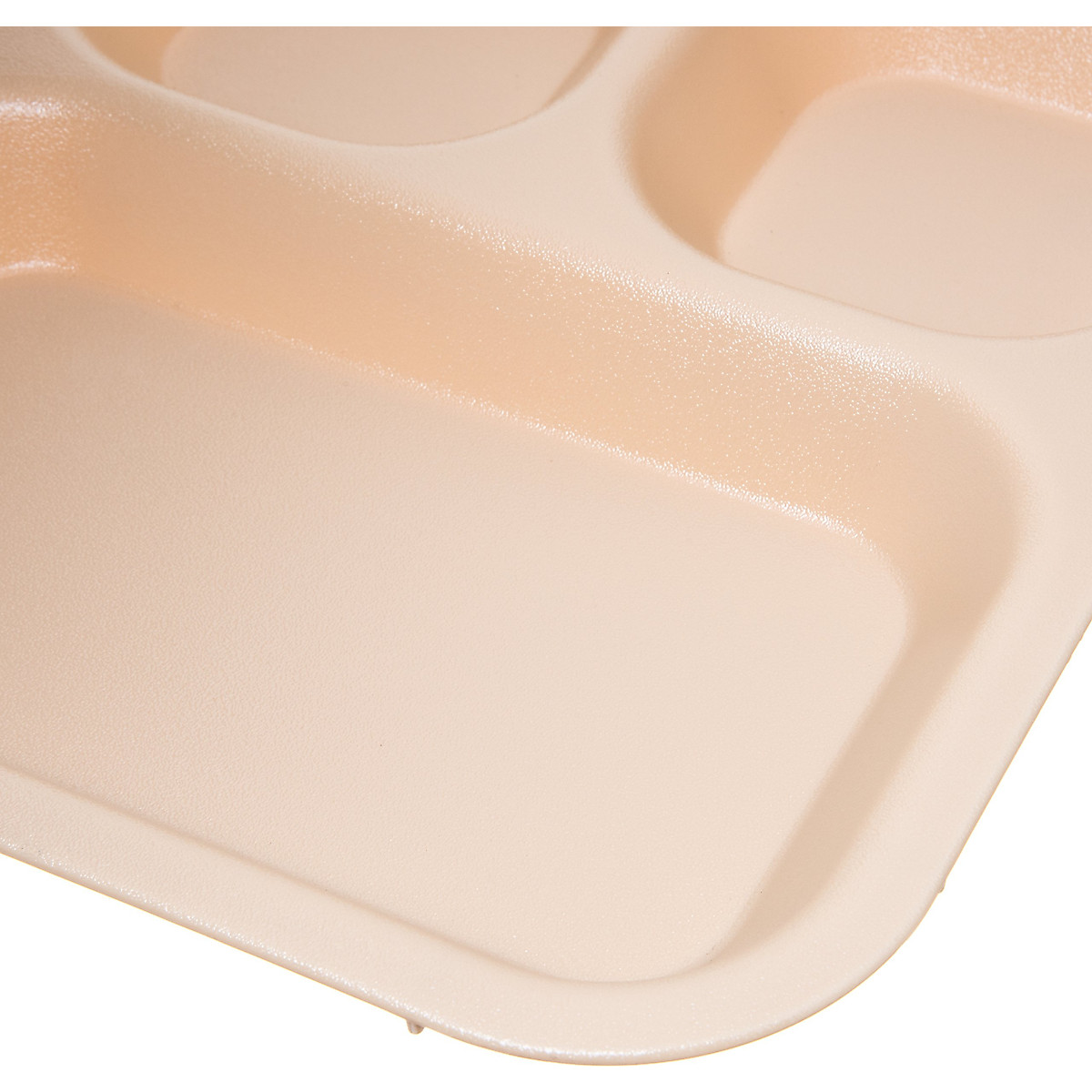 Polycarbonate 5-Compartment Tray