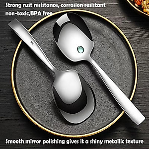 ZDFQly Large Serving Spoon, Premium 316L Stainless Steel Buffet Serving Spoon 9.5 Inch (1pack)