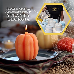 Big Dipper Wax Works Medium Light Orange Pumpkin Candle, 25-Hour Long Burn, Pure Beeswax Sculpted Candle, 3” x 3.25”, Fall Candle