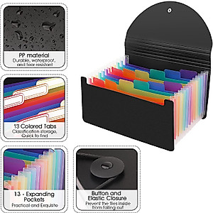 Expanding File Folder with Labels, 13 Pocket Accordion Document, Portable Accordion Filing Folder for Letter A4 Paper Document, Papers Letter Size, Black