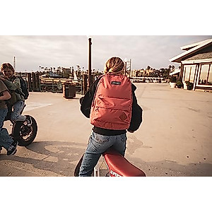 Dakine 365 Pack 21L - Street Art, One Size