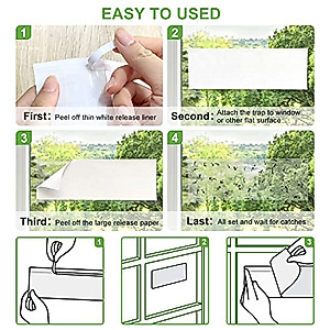 LFSYS 50 Pack Window Fly Traps, Fruit Fly Traps for Indoors, Fly Paper Sticky Strips, Fly Traps for Indoors Clear