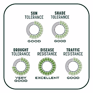 Pennington Smart Patch Sun and Shade Mix Jug 5 lb