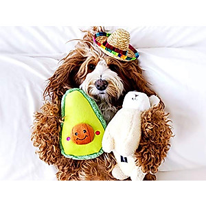 ZippyPaws Zp902 Nomnomz Avocado Dog Toy