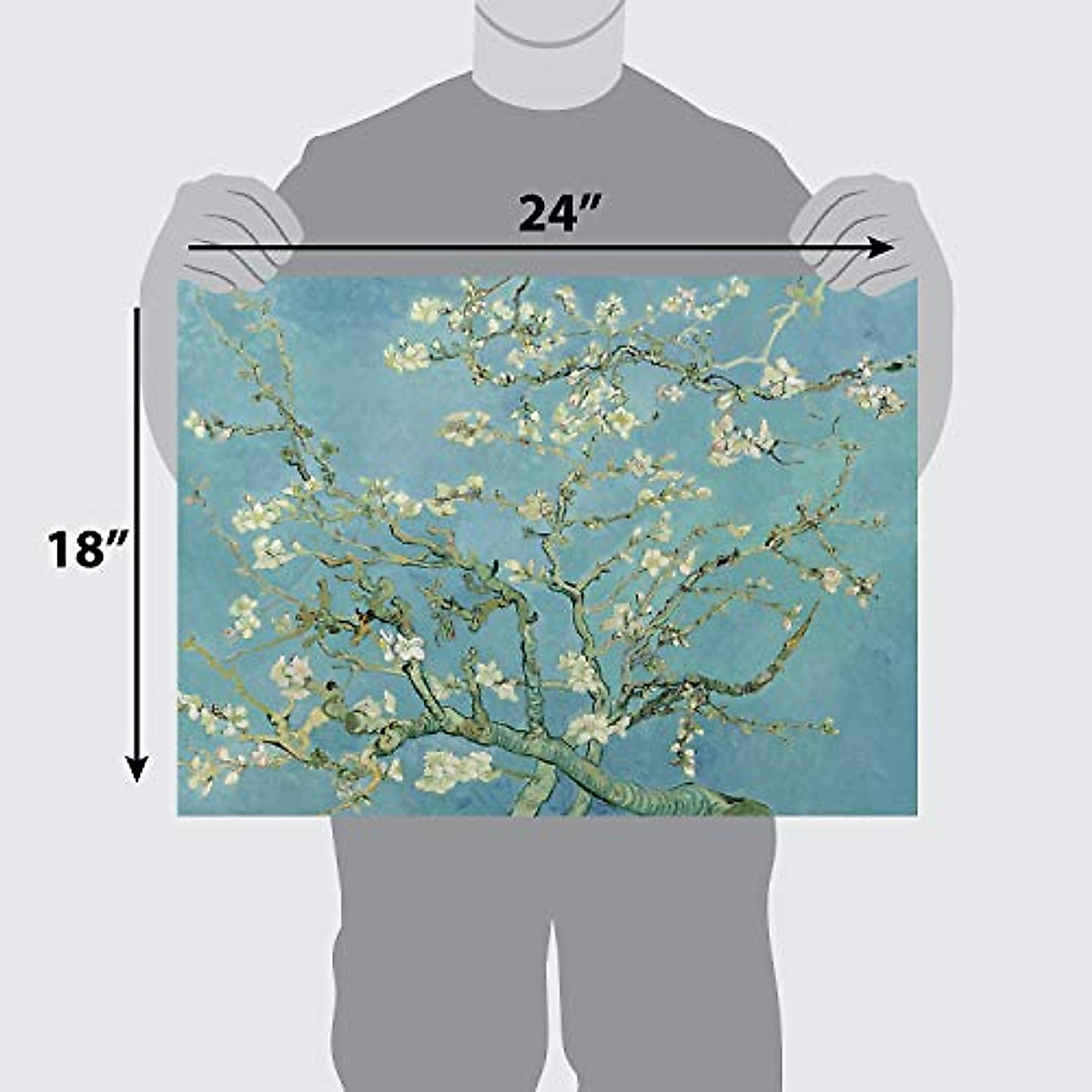 PalaceLearning Vincent Van Gogh Almond Blossom Poster Print - 1890 - Fine Art Wall Decor (18" x 24", Laminated)