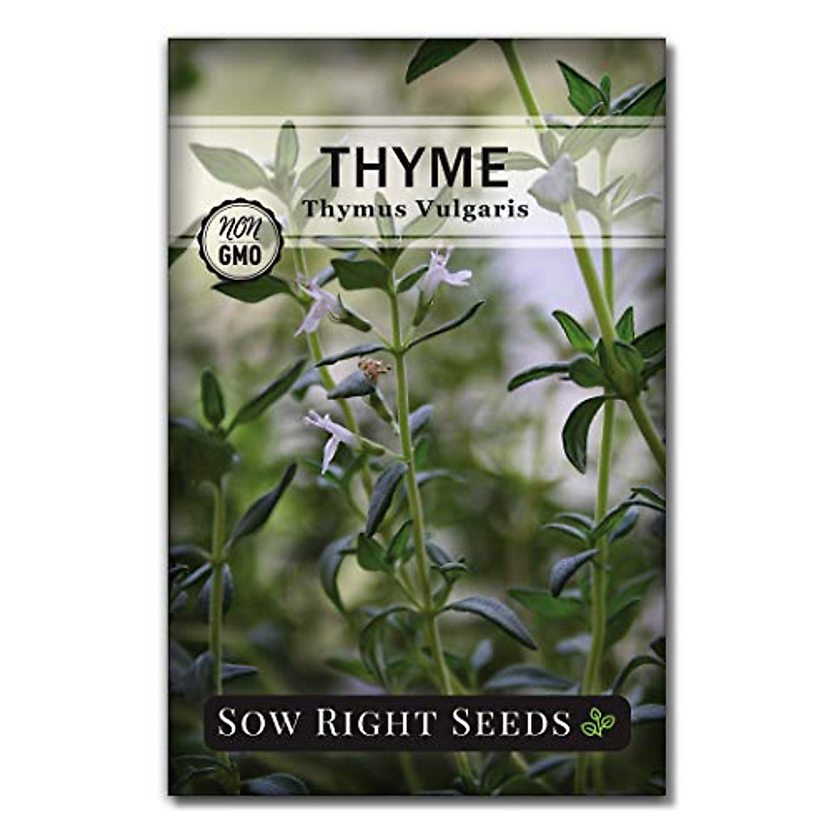 Sow Right Seeds - 15 Herb Garden Seed Collection - 15 Essential Herbs for Cooking; Non-GMO Heirloom Seeds; Full Instructions for Planting an Easy to Grow Kitchen Garden, Indoor or Outdoor; Great Gift…