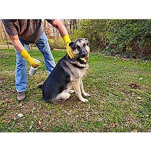 $averPak InsectGuard Permethrin Mosquitoes, Ticks and Flies Repellent & Insecticide Spray for Pet Dog Horse Blanket Bed Kennal Stabels & More - Gallon (128oz)