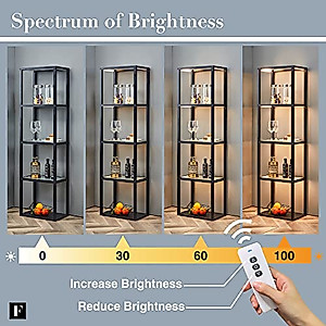 FENLO Fantasy Plus 66" Luxury Glass Display Shelf with Dimmable LED Floor Lamps, Sturdy Curio Cabinet with Bookcase Display Shelves for Bedroom, Open Bookshelf, Black