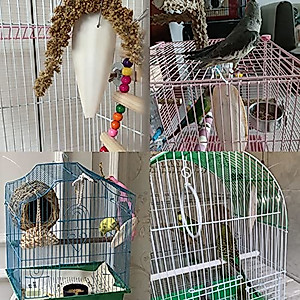 BNOSDM Bird Cuttlebone Chew Toy Cuttlefish Bones Parrot Cage Toys Bite for Cockatiels Parakeets Budgies Finches Canaries Lovebirds Small Conures Mynahs Toucans African Greys 10PCS
