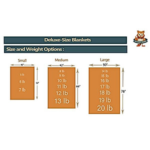 SENSORY GOODS Young Adult - Deluxe - Made in America - Medium Weighted Blanket 10lb Medium Pressure - Dwight Pattern - Fleece/Flannel (66" x 42") Provides Comfort and Relaxation.