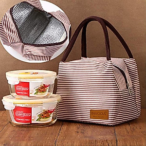 Lunch Bag 4PCS Lunch Organizer for office Lunch Cooler with Zip Closure Foldable Lunch Tote Bag, Reusable Lunch Holder Insulated Lunch Container Picnic Bag for Men Women
