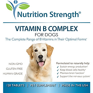 Nutrition Strength Vitamin B for Dogs, Complete B Complex for Dogs, Promote Blood Cell & Nervous System Health, Help Sustain Cellular Energy Production & Maintain Brain Function, 120 Chewable Tablets