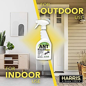 Harris Ant Killer Spray, 20 oz for Indoor and Outdoor Use