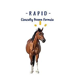 Manna Pro Rapid Flex | Fast Acting Joint Supplement for Horses | Clinically Proven Unique Patented Formula | 4 Pounds, White