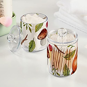 4 Pack Qtip Holder Dispenser Fox Mushrooms Plants Cotton Ball Cotton Swab Cotton Round Pads Floss Clear Bathroom Storage Containers Plastic Apothecary Jars with Lids