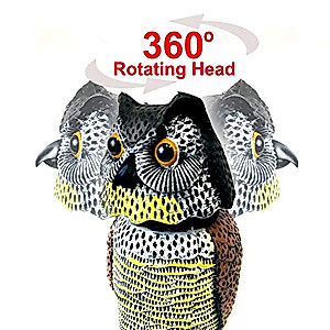 GiftExpress 2 Pk 15.5" Scarecrow Owl Decoy with Rotating Head Statue, Pest Repellent, Bird Control, Bird Deterrent, Garden Protectors, Fake Owls (2)