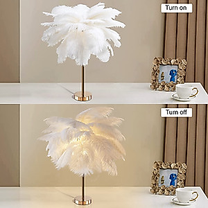 Ruconla Ostrich Feather Table Lamp with Plug in Wire, Modern Feather Lamp 5-Light Bedside Table Lamp, Golden Lamp Body for Bedroom Nightstand Lamp Desk Night Light (White)