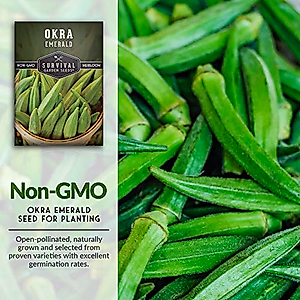 Survival Garden Seeds - Emerald Okra Seed for Planting - Packet with Instructions to Plant and Grow Tender and Large Okra in Your Home Vegetable Garden - Non-GMO Heirloom Variety - 1 Pack