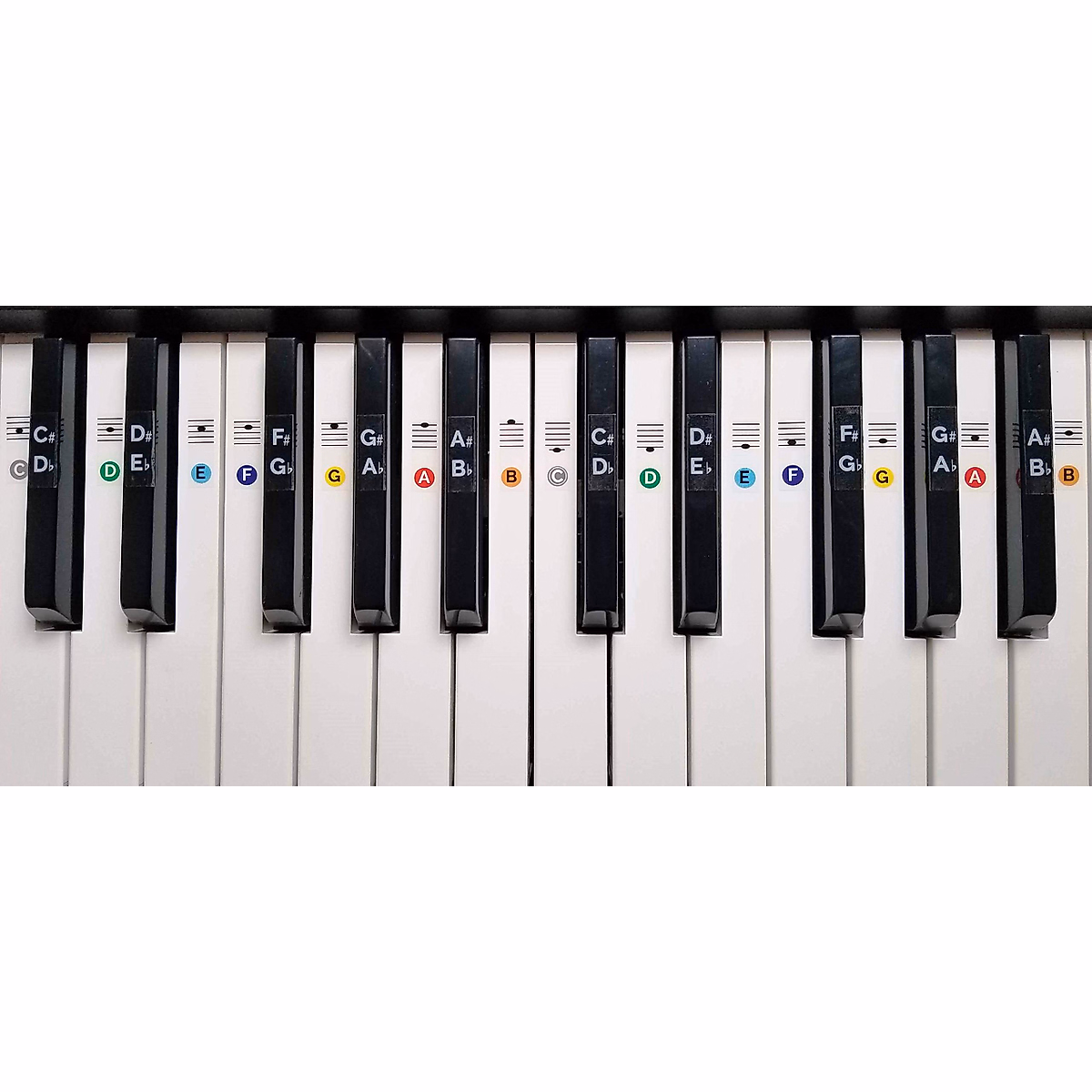 Color Piano Keyboard Stickers- Removable, Transparent, for White & Black Keys