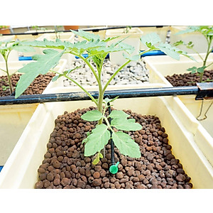 Hydroclay Premium Hydroponics Clay Pellets Substrate 25 litres