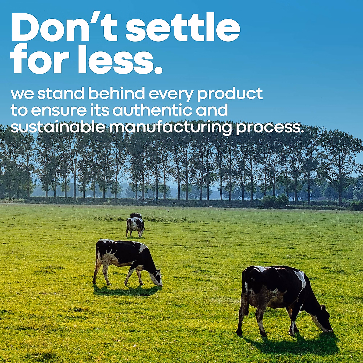 Multi Collagen Complex (Types 1 2 3 5 and 10) | Hydrolyzed Collagen Peptides | Collagen for Women & Men | Hair, Skin, Nails, Joint Support (with Turmeric) | 90 Capsules