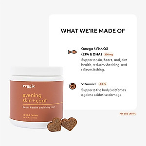 Reggie Evening Skin + Coat Supplements for Dogs | Relieves Itchy/Dry/Flaky Skin & Shedding | Made in The USA, Vet-Approved & Ideal for All Ages, Breeds, and Sizes - 60 Soft Chews