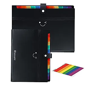 Expanding File Folders Accordian File Organizer 13 Pockets (2 Packs) Expandable Desktop Accordion Document Folders Reinforced A4 Size File Manager with Colored Labels for Offices Schools (Classic)