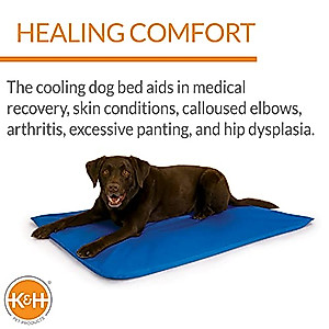 K&H Pet Products Cool Bed III Dog Cooling Mat, Cooling Dog Beds for Large Dogs, Dog Cooling Mat for Dog Carrier, Outdoor Dog Bed Cooling Pad for Dog, Pet Cooling Mat - Blue Large 32 X 44 Inches
