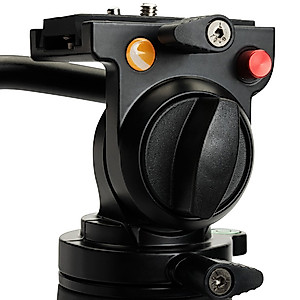 Celestron – Regal Premium Tripod – Sturdy Aluminum Tripod with Extendable Center Column – Interchangeable Feet to Fit Your Terrain – Use for Spotting Scope, Binocular, Camera, and Small Telescope