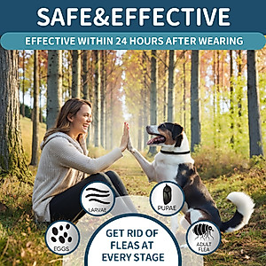 Flea Collar for Dogs, 4 Pack Dog Flea and Tick Collar 32 Months Flea and Tick Treatment Collar for Dog, Waterproof Adjustable Dog Flea and Tick Prevention for Small Medium Large Dog Puppy, Black