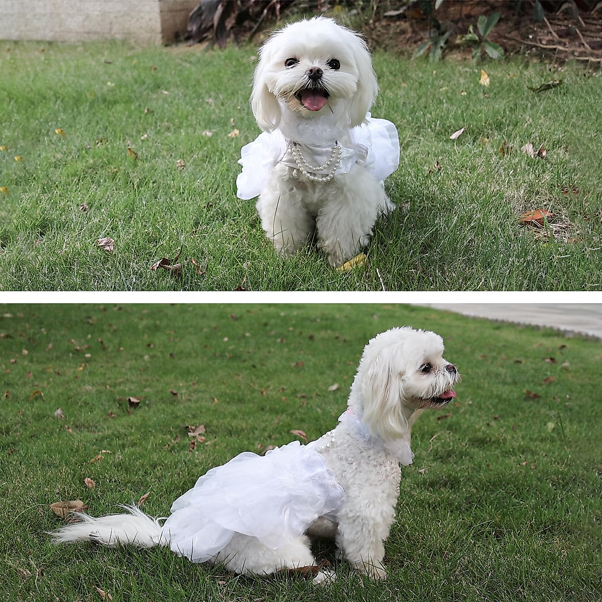 SHIAOMIN Dog Wedding Dress Bride Outfit with Pearl Necklace and Rose Pet Princess Dress Apparel for Puppy Dog Cat (Large)