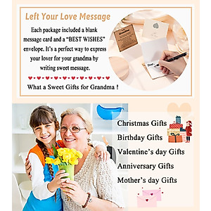 DiRikiss Grandma Bracelet for Women, Cubic Zirconia, 7inch, Stainless Steel, Heart Charm, Love Theme, Lobster Claw Clasp, Jewelry