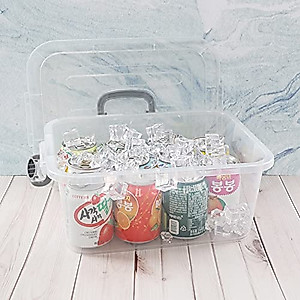 Hommp 8 L Clear Plastic Storage Box, Plastic Latching Box with Lid, 2-Pack