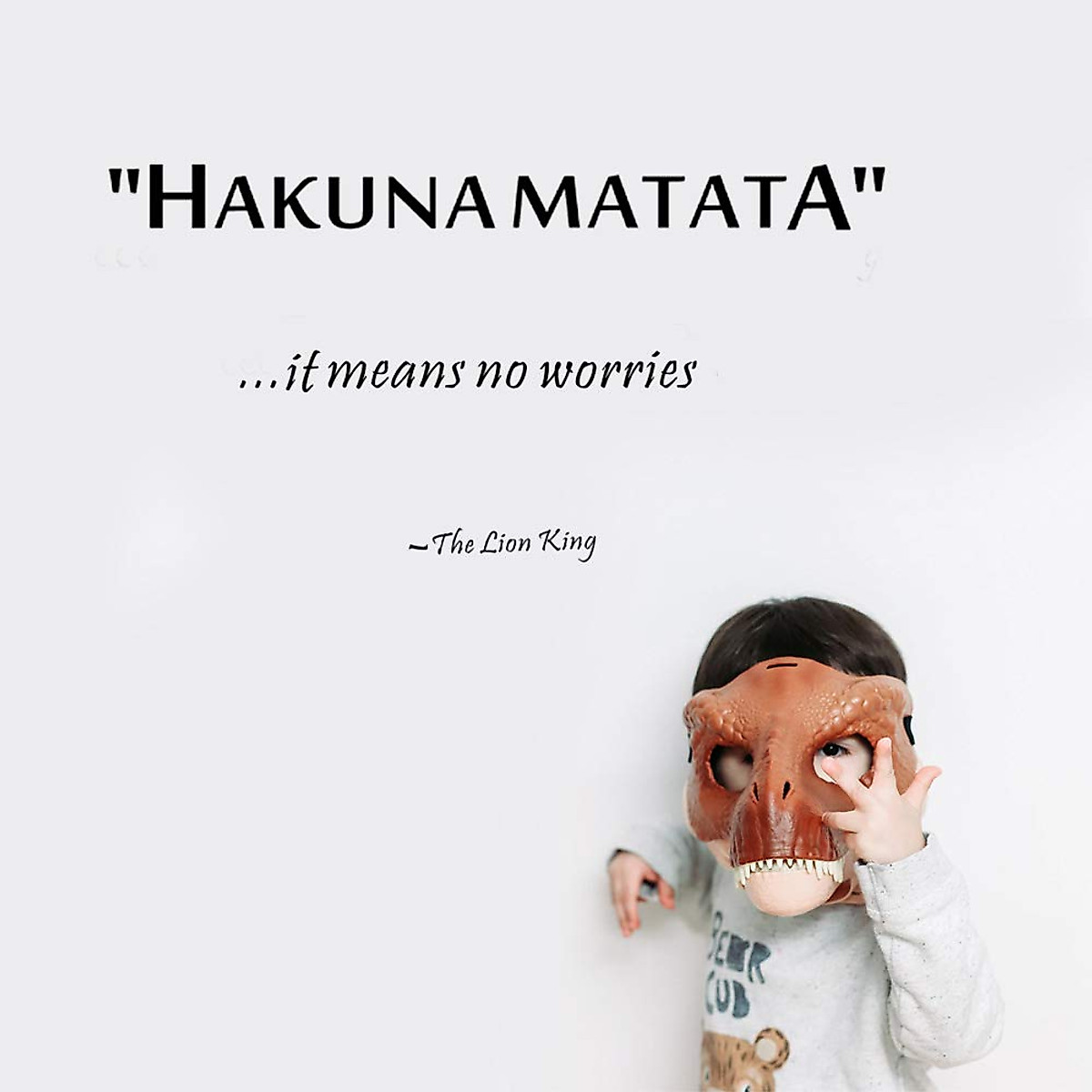 Inspirational Wall Decor Quotes for Living Room Wall Decor for Bedroom Classroom Playroom Nursery Girls Boys Room Wall Decals Decorations (AP-WD027)