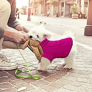 cobee Dog Sweaters for Small Dogs, Classic Solid Color Knitwear Winter Male/Female Dog Clothes Warm Puppy Coat Pet Costume Clothing for Small Dog Cute Christmas Pet Sweater(M Size, Rose Red)