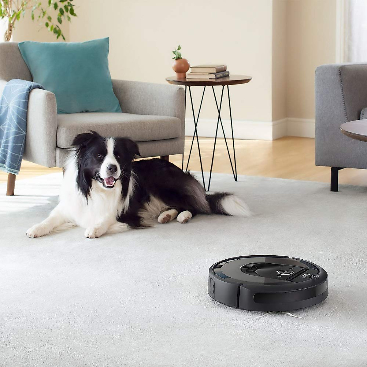 iRobot Roomba i7 Robotic Vacuum Bundle- Alexa Connected, Home Mapping, Great for Pet Hair (+1 Extra Edge-Sweeping Brush, 1 Extra Filter)
