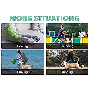 Lyderpet Dog Leg Brace for Hind Hock Joint, Rear Ankle Compression Wrap with Metal Strips Strong Support for Torn ACL & CCL, Prevents from Injury and Sprain, Helps with Wounds Care and Arthritis (S)