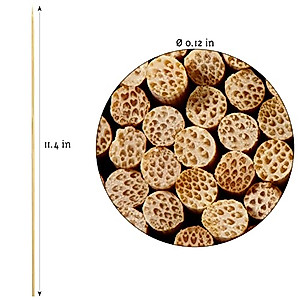 LIVAIA Wooden BBQ Skewers: 120 x Premium Bamboo Barbecue Skewers and Kebab Skewers Wood Extra Long - Wooden Skewers for Crafts - Round Wooden Skewers - Wooden Stick 11.4in - Bamboo Grill Skewers