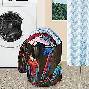 Parrot Pop Up Laundry Hamper With Lid Foldable Laundry Basket With Handles Collapsible Storage Basket Clothes Organizer for Travel Kids Room