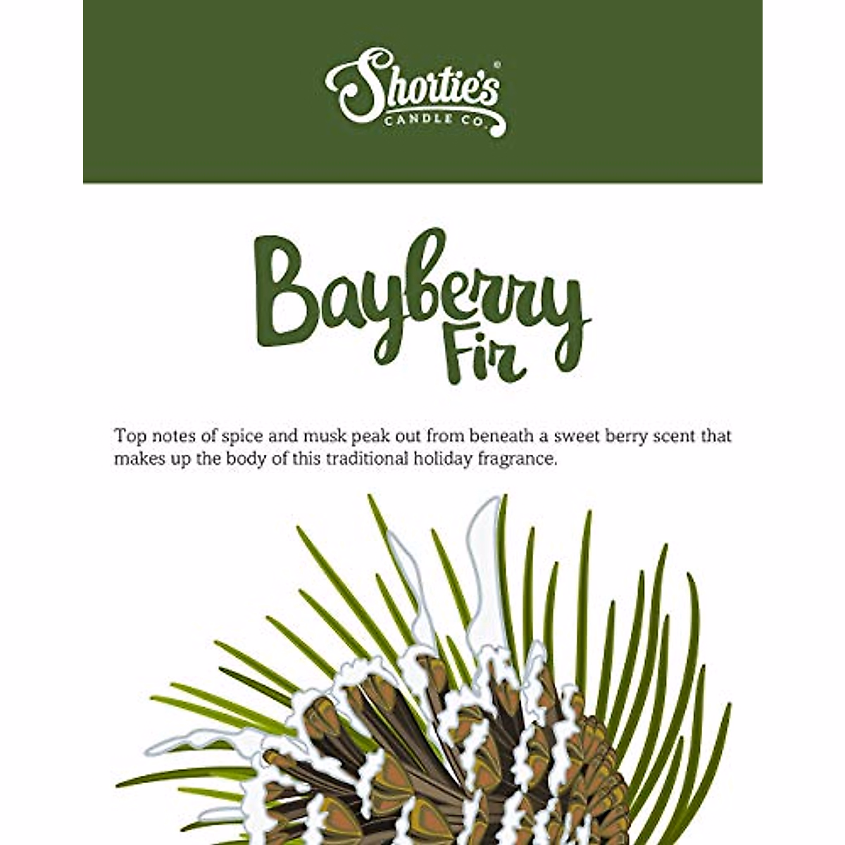 Bayberry Fir Premium Tealight Candles - Highly Scented with Essential Oils - 6 Green Tea Lights - Beautiful Candlelight - Made in The USA - Christmas & Holiday Collection