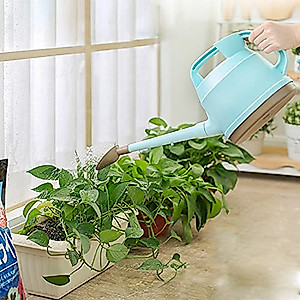 SAROSORA Outdoor Watering Can 0.9 Gallon Long Spout with Detachable Shower Head for Garden Flowers Plants (Blue, 3.3L/0.9GAL)
