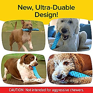 BulbHead BrushBone Toothbrush, Dogs Chewing, Plaque and Tartar Remover for Teeth, Works 3 Ways to Clean While They Play, Invented by a Dentist & His Hygienist Wife, 1 Count (Pack of 1), Brush Bone