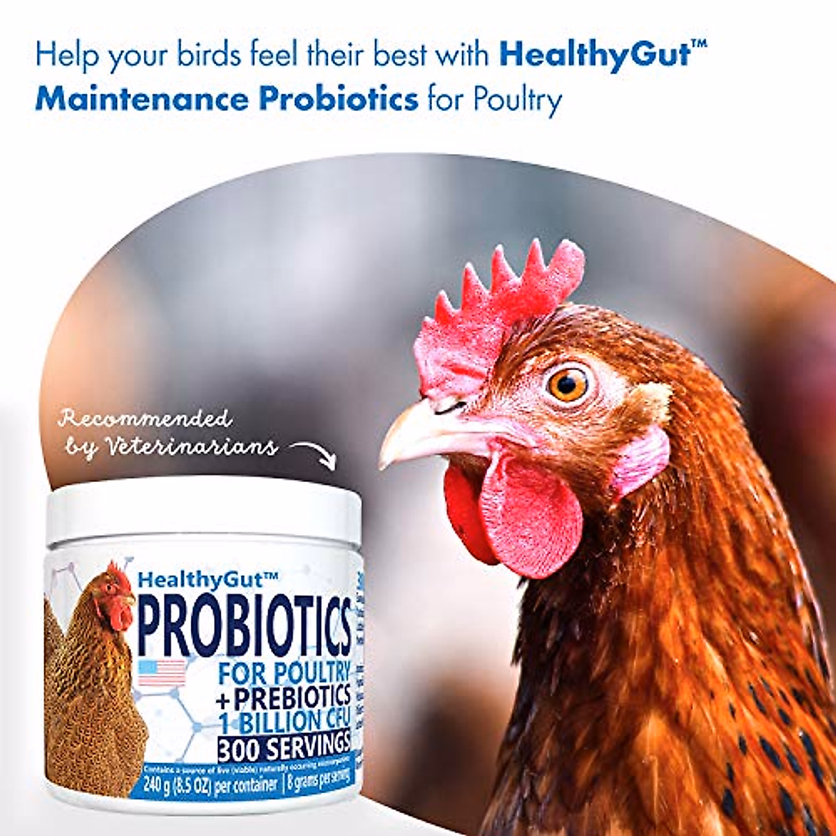 Equa Holistics HealthyGut Probiotics for Chickens & Poultry, All-Natural Digestive System Dietary Supplement (30 Scoops)