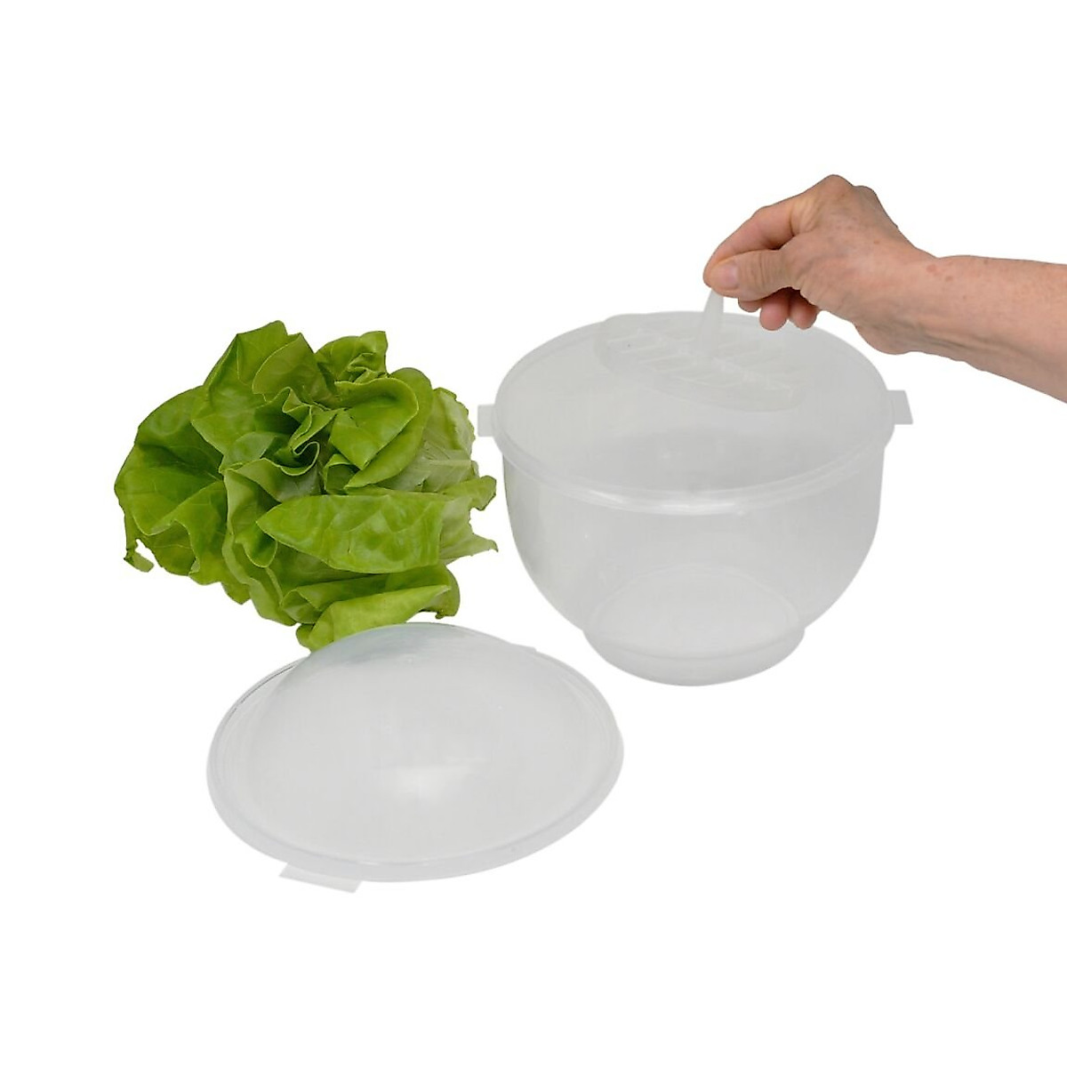 Lettuce Keeper | Vegetable and Fruit Crisper | Lettuce Crisper Salad Keeper Container Keeps your Salads and Vegetables Crisp and Fresh-7" X 8"- by Home-X