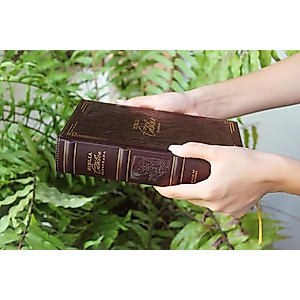 Biblia Católica, Ilustrada, Piel genuina, Café, Comfort Print (Spanish Edition)