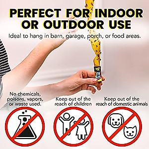 SteadMax 20 Sticky Fly Strips, Hanging Fly Trap for Fruit Flies, Bugs, Insects, Pest, and Mosquitoes, Fly Ribbon Tape Paper, Indoor and Outdoor Use (20 Pack)