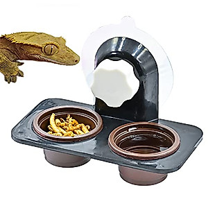 MRTIOO 0.75oz 100 pcs Crested Gecko Food and Water Feeding Cups, Reptile Feeder Bowls, for Lizard and Other Small Pet Ledge Accessories Supplies